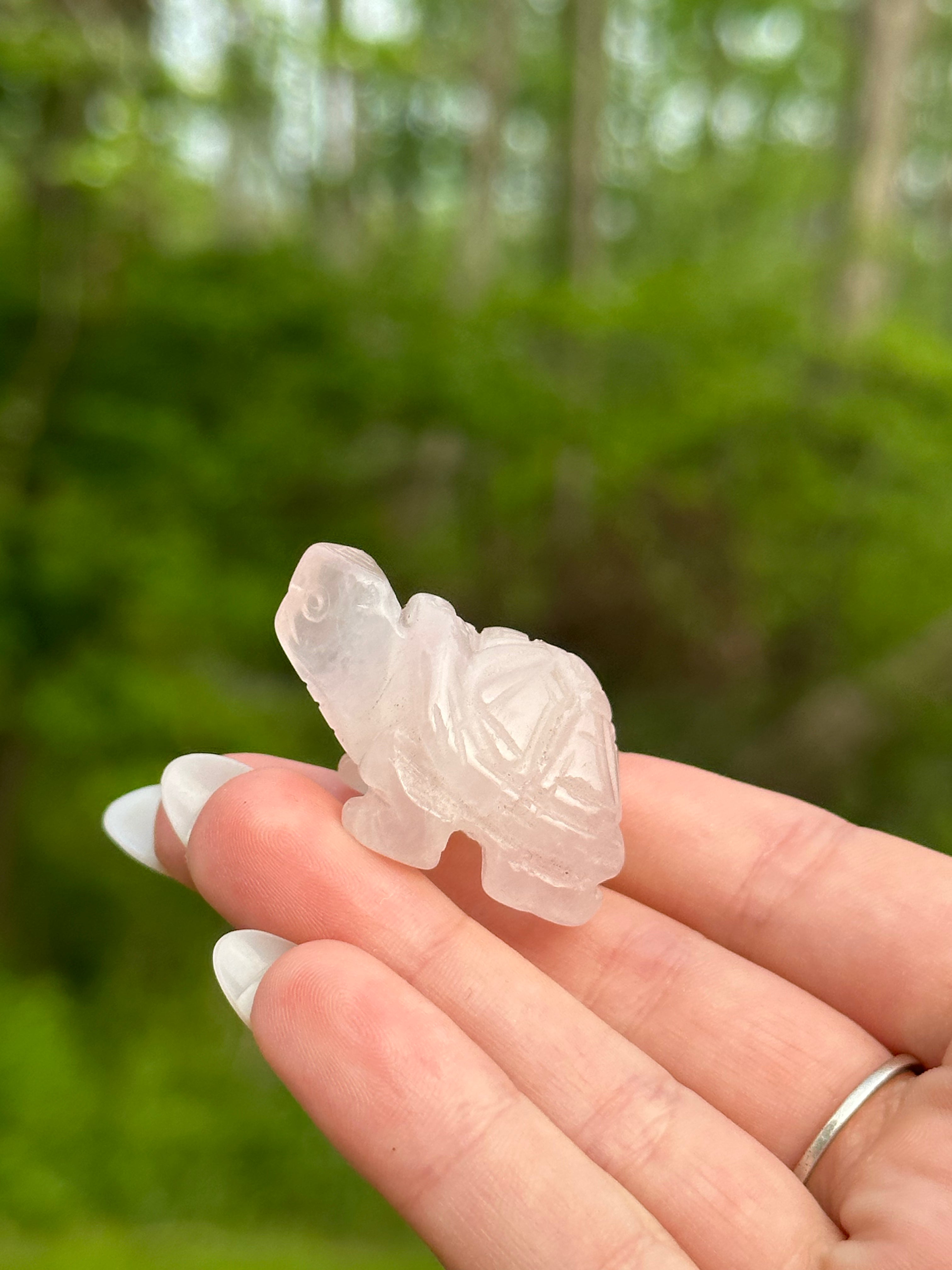 Mini Rose Quartz Turtle – Onyx Moon Crystal Boutique